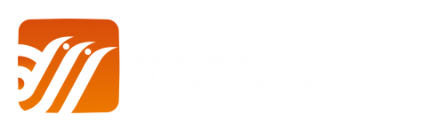 GVQ Conditions générales